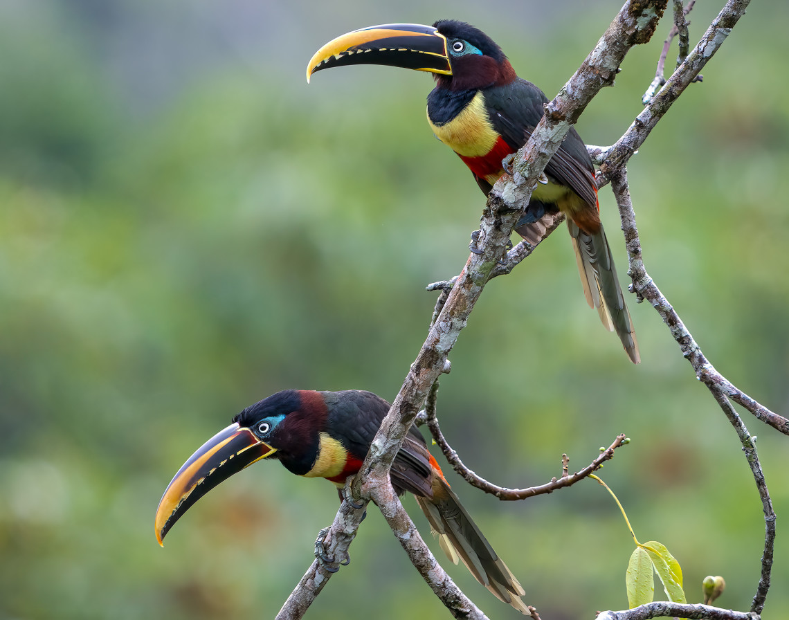 True North Photography